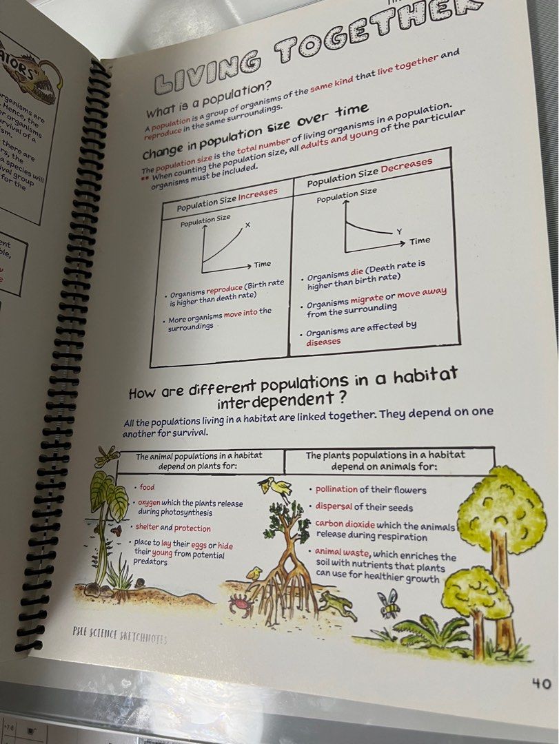 Psle Science Sketchnotes, Hobbies & Toys, Books & Magazines, Textbooks ... Psle Science Sketchnotes, Hobbies & Toys, Books & Magazines, Textbooks ...