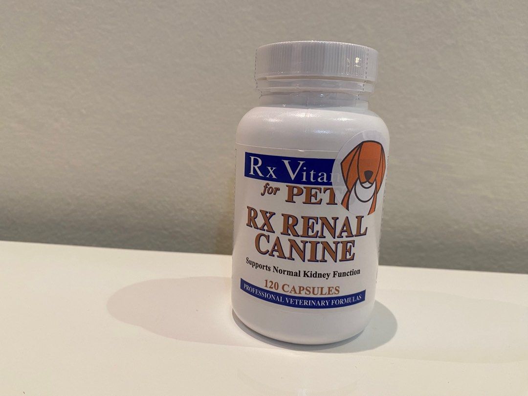 RX Renal Canine, Pet Supplies, Pet Food on Carousell