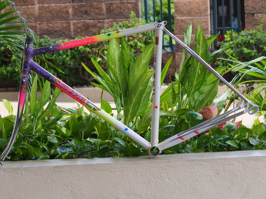 Somec columbus SLX Steel Frameset (Rare), Sports Equipment, Bicycles ...