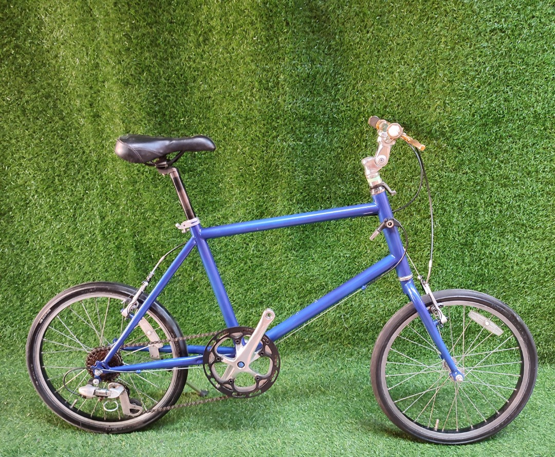 Blue Mini Velo, Sports Equipment, Bicycles & Parts, Bicycles on Carousell