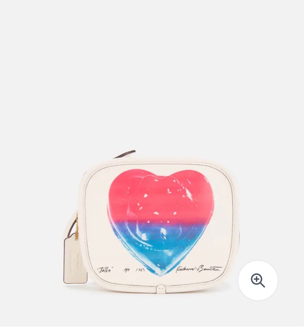 Coach X Richard Bernstein Heart Zip Bag, Women's Fashion, Bags ...