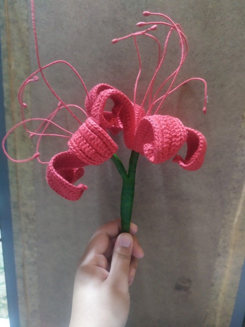CROCHETED SPIDER LILY, Hobbies & Toys, Memorabilia & Collectibles, J ...