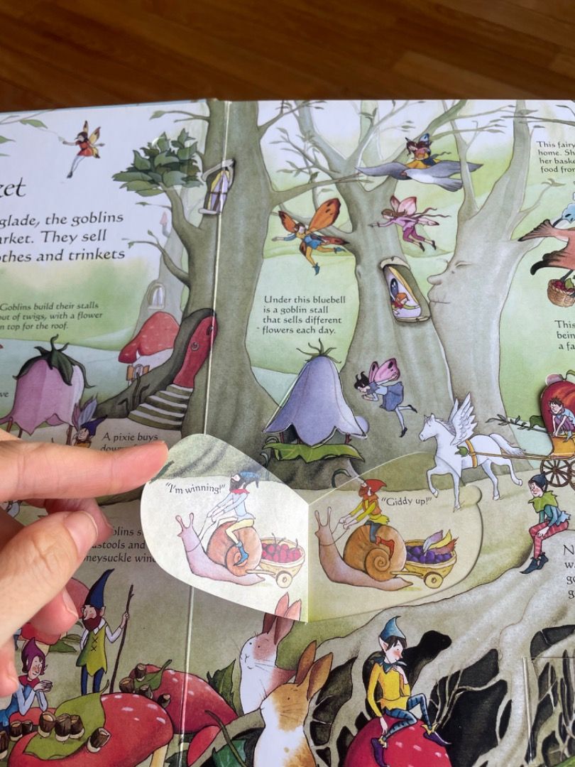 Fairy land Usborne Flap book, Hobbies & Toys, Books & Magazines ...