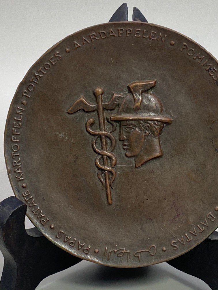 Holland copper brass badge, Hobbies & Toys, Memorabilia & Collectibles ...