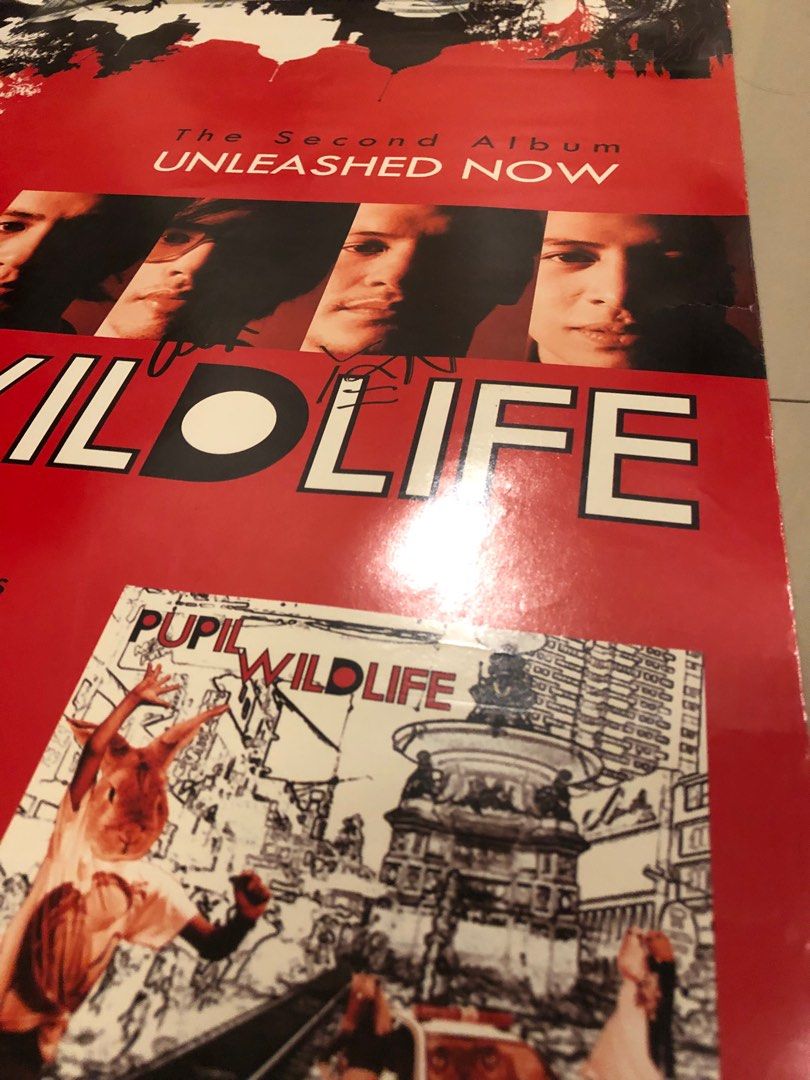 Pupil 2007 Wildlife Promo Poster (Signed by Ely Buendia, Dok Sergio and ...