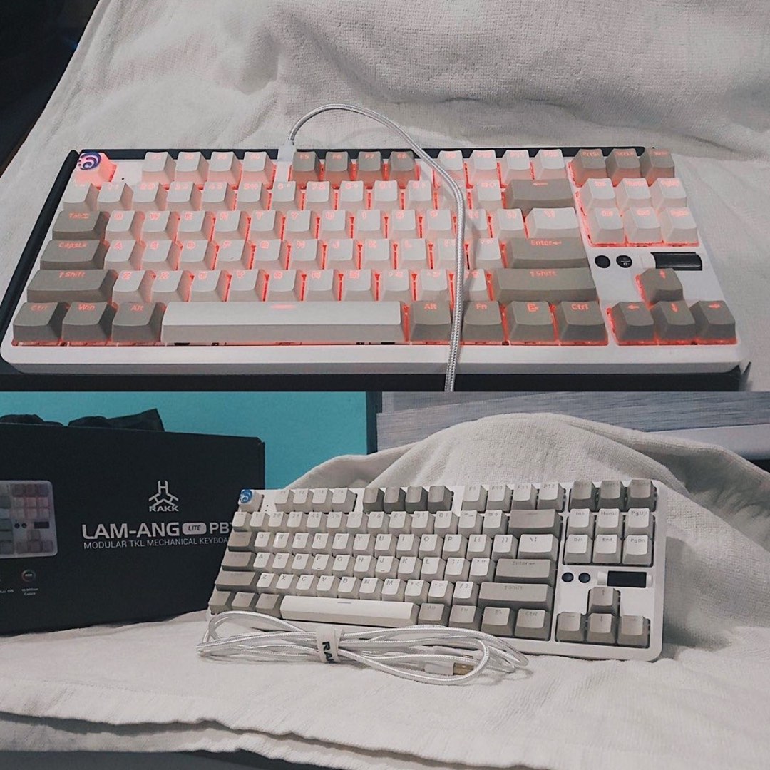 Rakk Lam-Ang Lite PBT Caps Mechanical Keyboard, Computers & Tech, Parts ...