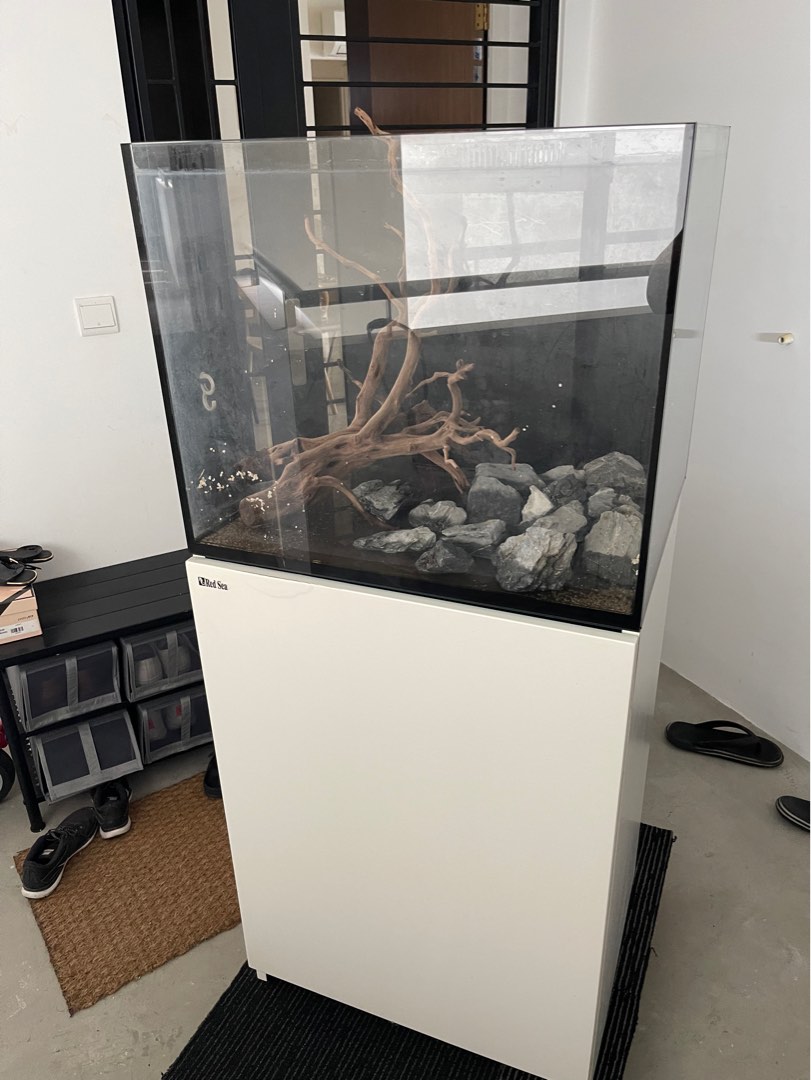 Red Sea nano cube Fish tank, Pet Supplies, Homes & Other Pet ...