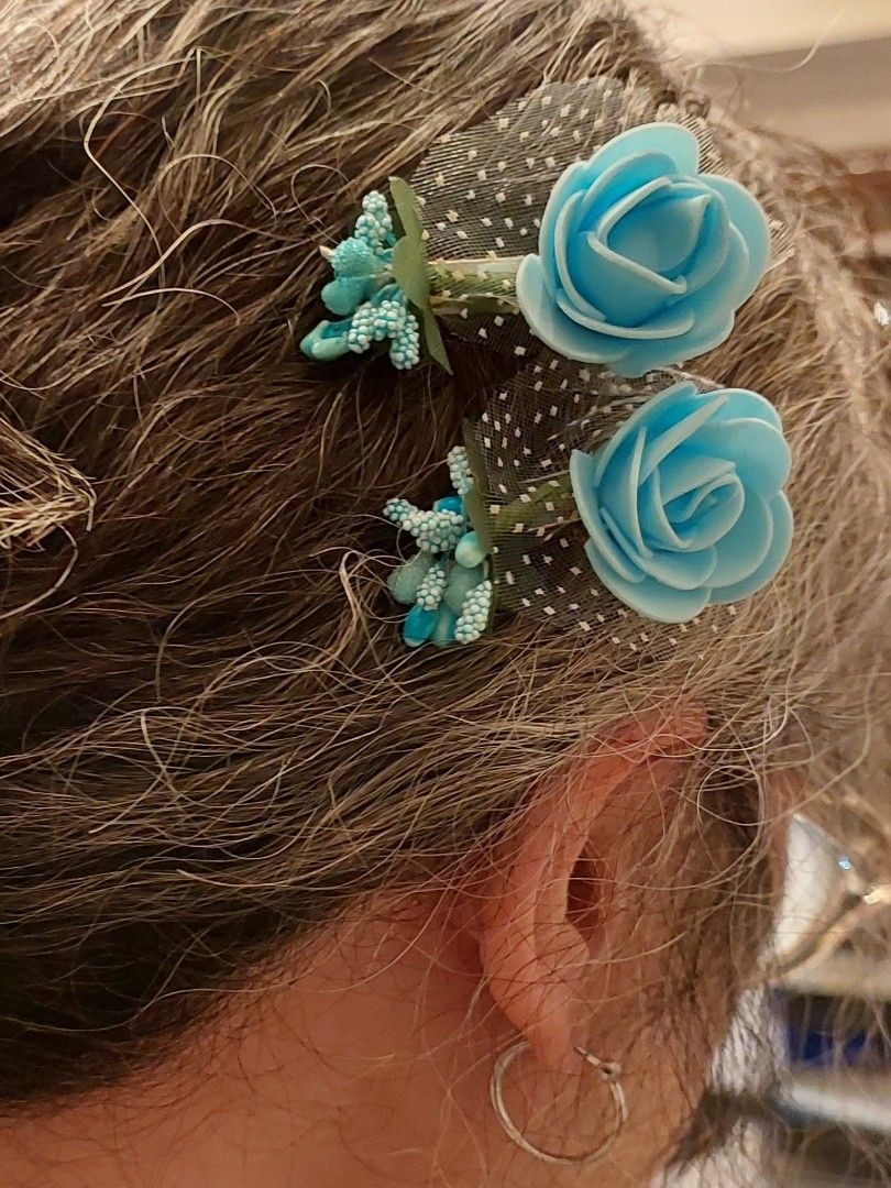 ROSE CLIPS / DOZEN PAIR / TAKE ALL on Carousell