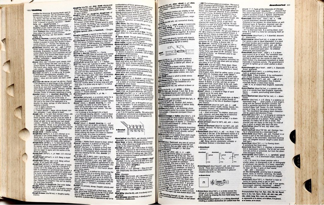 World Book Dictionary, Hobbies & Toys, Books & Magazines, Fiction & Non ...