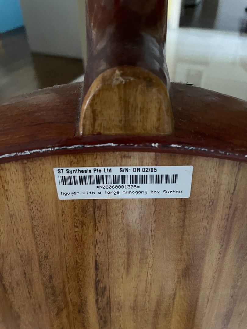 Chinese Instrument (Nguyen), Hobbies & Toys, Music & Media, Musical ...