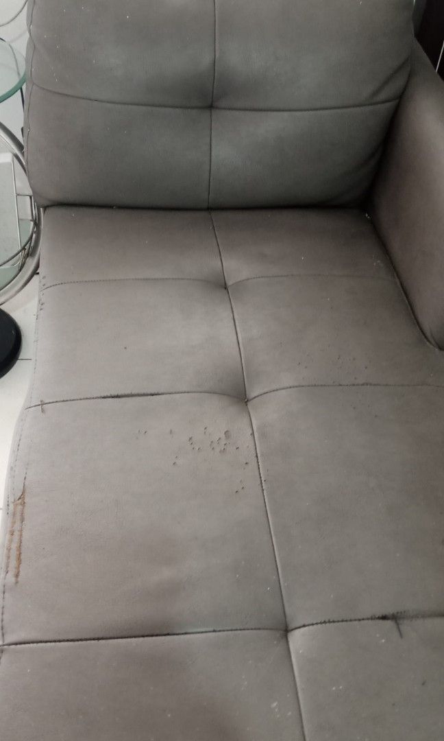 Cleopatra leather sofa on Carousell