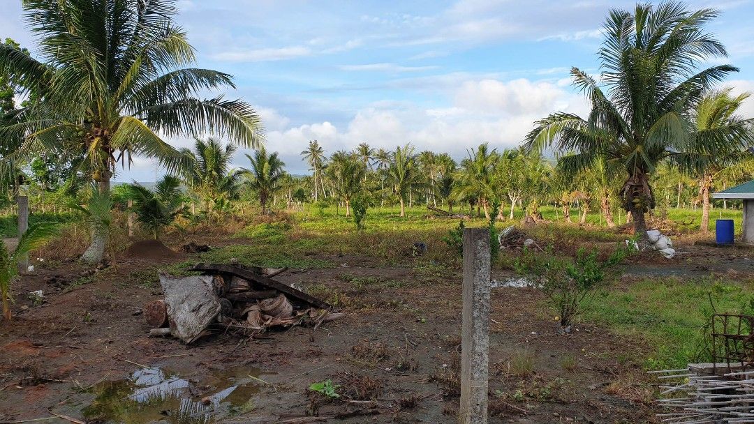 Farm Land /@ libmanan Camarines Sur., Property, For Sale, Lot on Carousell