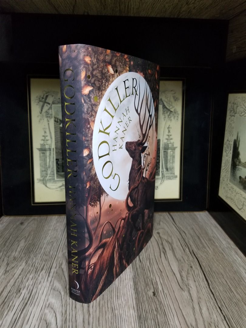 Godkiller by Hannah Kaner, Hobbies & Toys, Books & Magazines, Fiction ...
