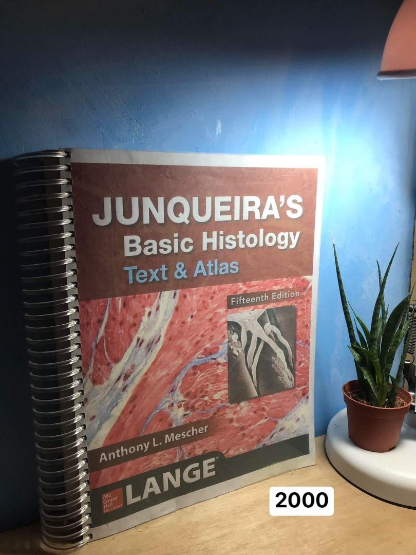 Junqueira's Basic Histology 5th Ed, Hobbies & Toys, Books & Magazines ...