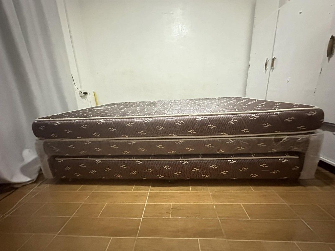 Pull out bed (DEWFOAM Diane's pull out bed), Furniture & Home Living, Furniture, Bed Frames ...