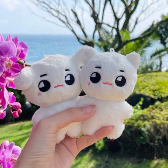 [SG GO] NCT TAEYONG DOLL TYONGYA 4TH SALES WTS, Hobbies & Toys ...