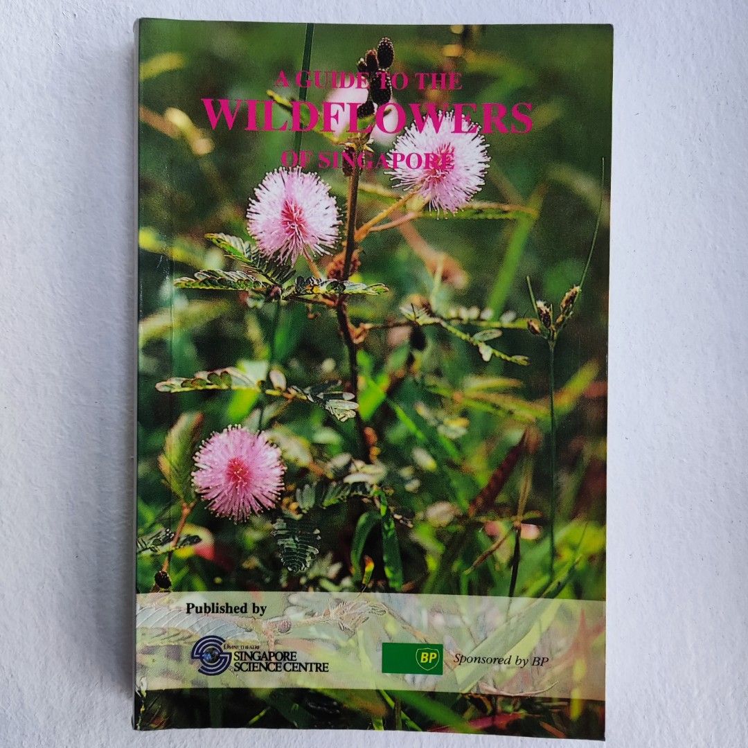 Singapore Science Centre - Guide Books, Hobbies & Toys, Books ...