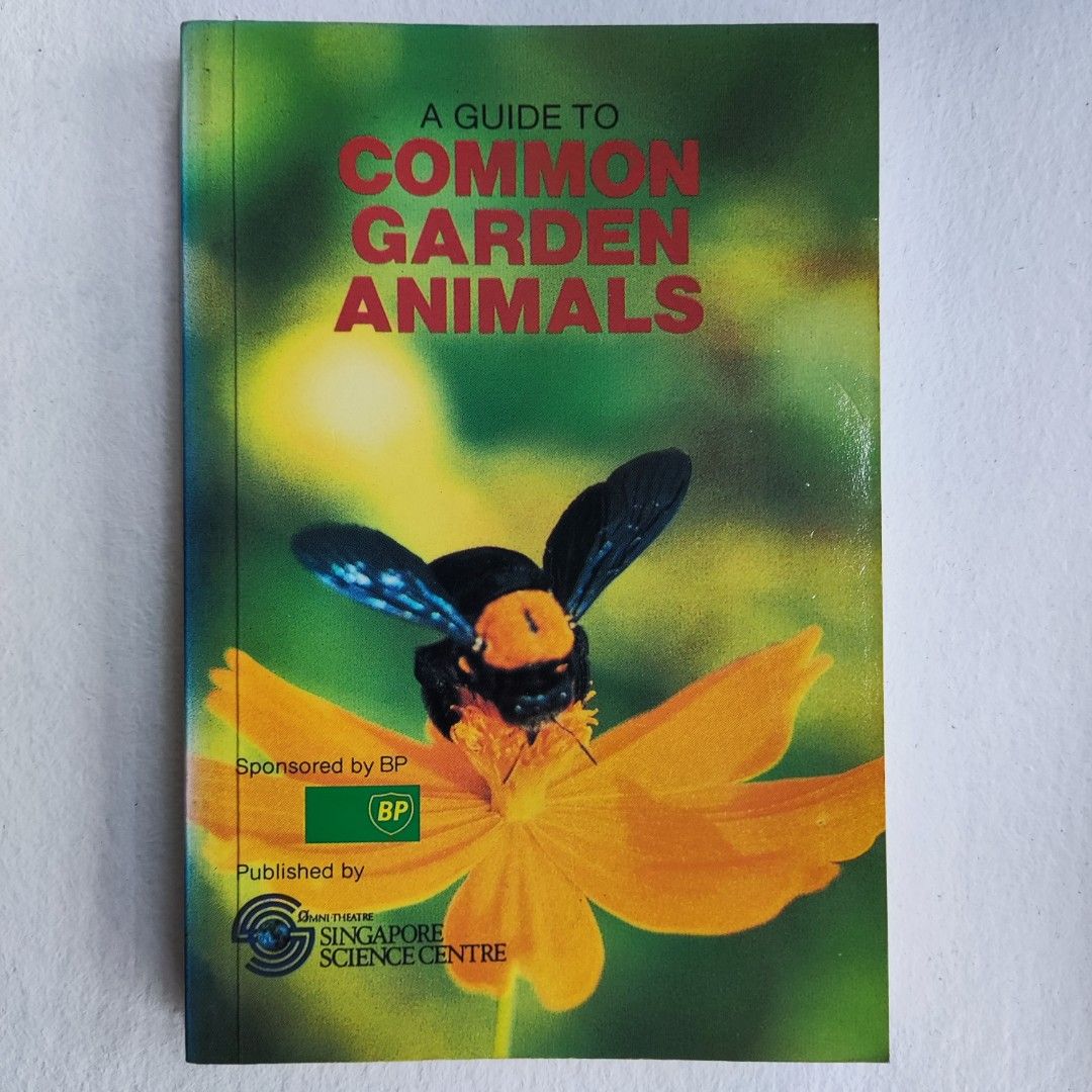 Singapore Science Centre - Guide Books, Hobbies & Toys, Books ...