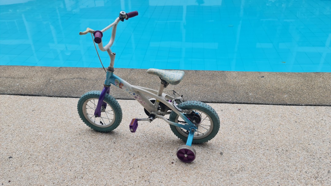 Toys R Us Frozen Bike with unused training wheels on Carousell
