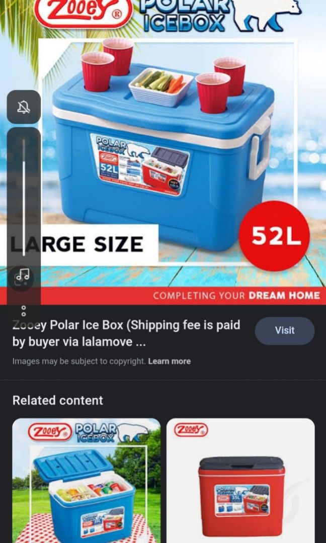 ZOEY ICE BOX 52L on Carousell