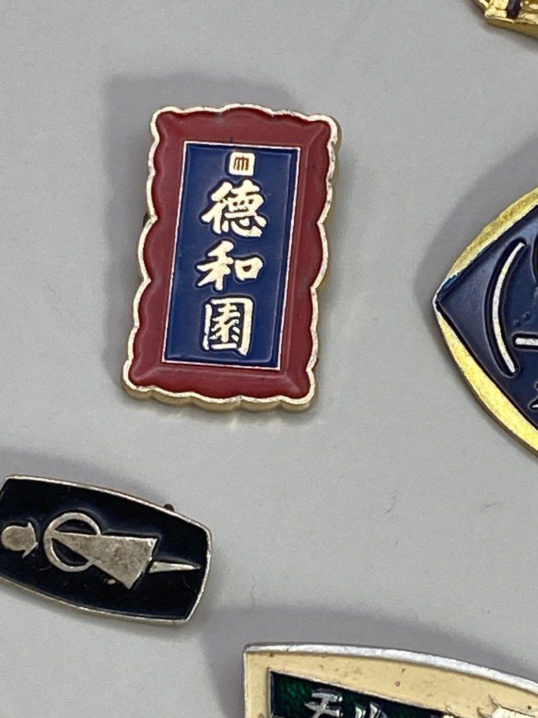 7 Souvenir Chinese tourist badges pins, Hobbies & Toys, Travel, Travel ...