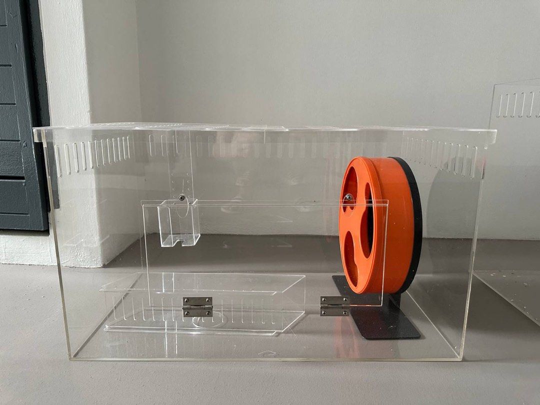 Acrylic cage 70cm, Pet Supplies, Homes & Other Pet Accessories on Carousell