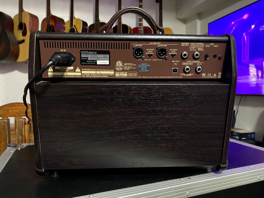 Boss Acoustic Singer Pro Amp, Hobbies & Toys, Music & Media, Music ...