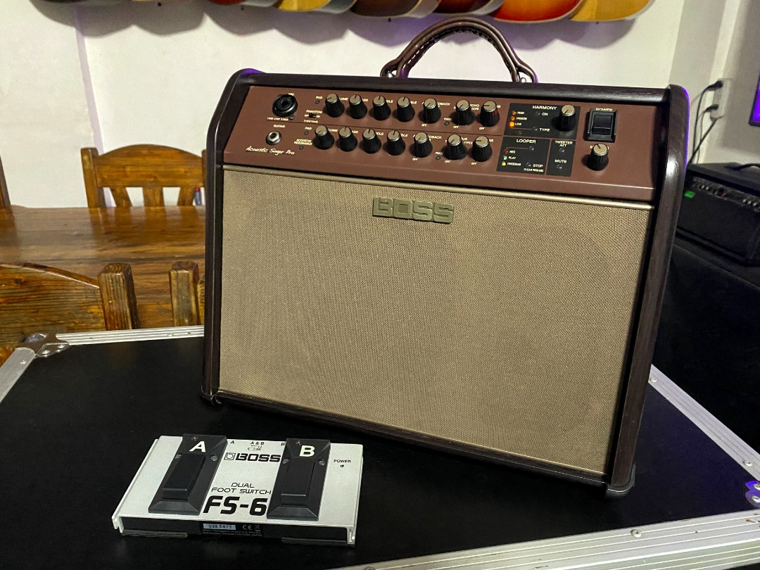 Boss Acoustic Singer Pro Amp, Hobbies & Toys, Music & Media, Music ...