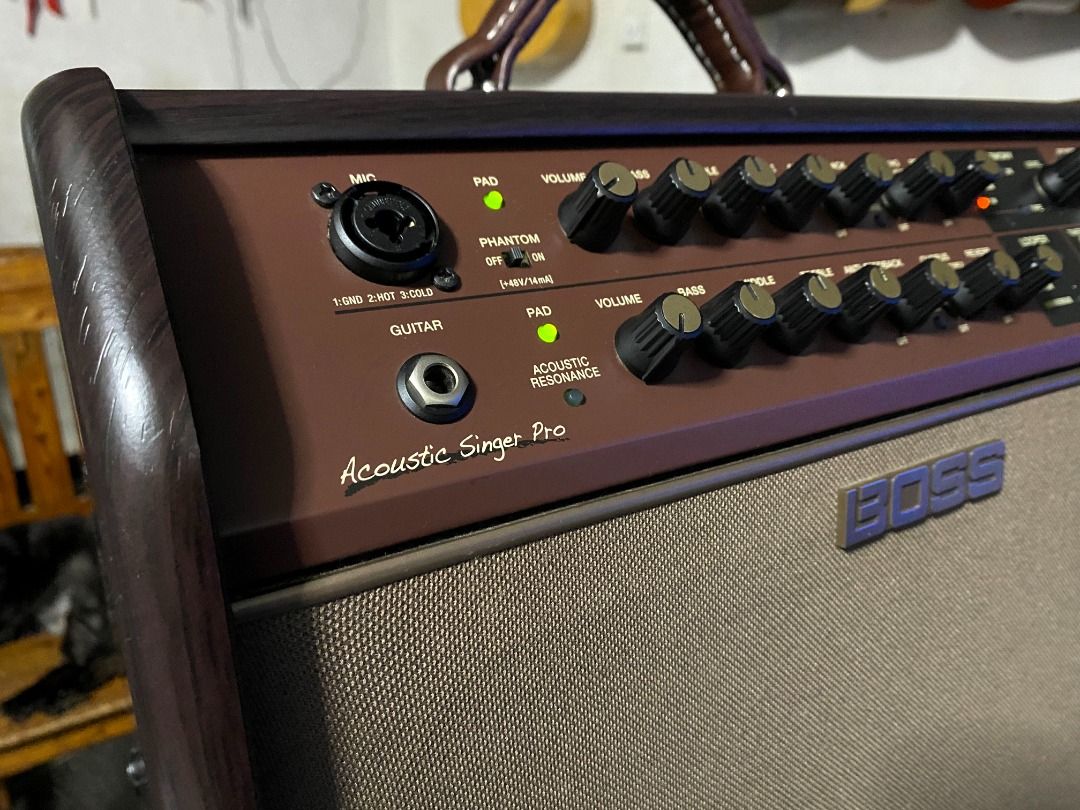 Boss Acoustic Singer Pro Amp, Hobbies & Toys, Music & Media, Music ...