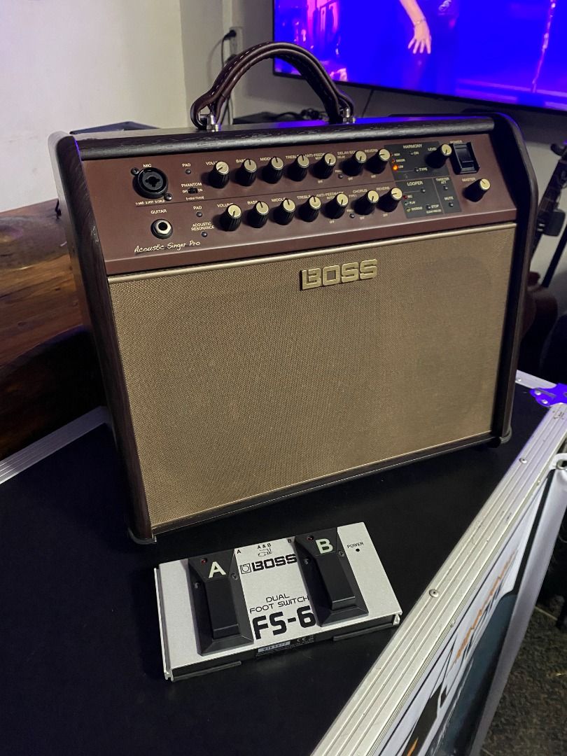 Boss Acoustic Singer Pro Amp, Hobbies & Toys, Music & Media, Music ...