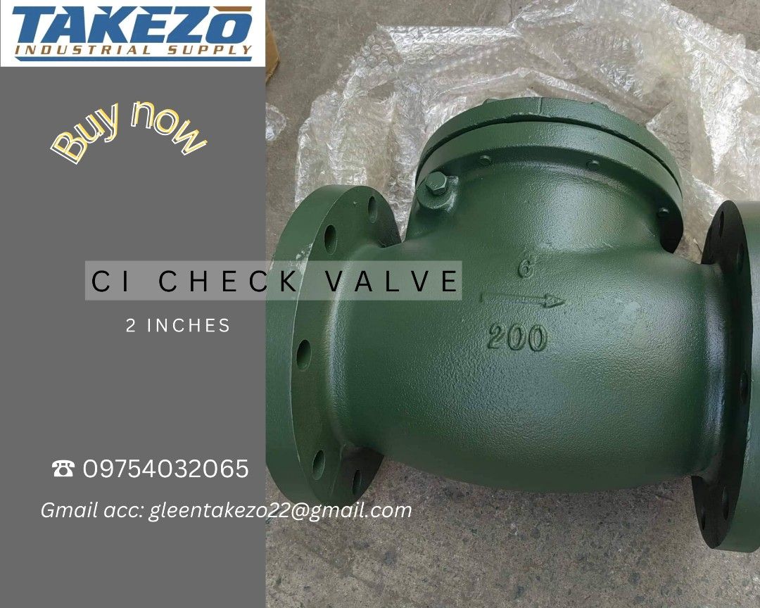 CI Check Valve on Carousell