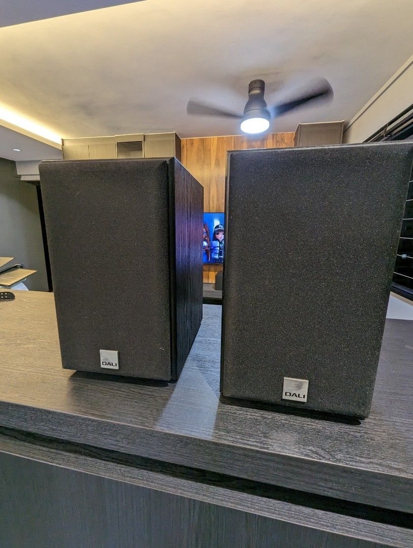 Dali Spektor 2 Passive Loud Speakers, Audio, Soundbars, Speakers ...