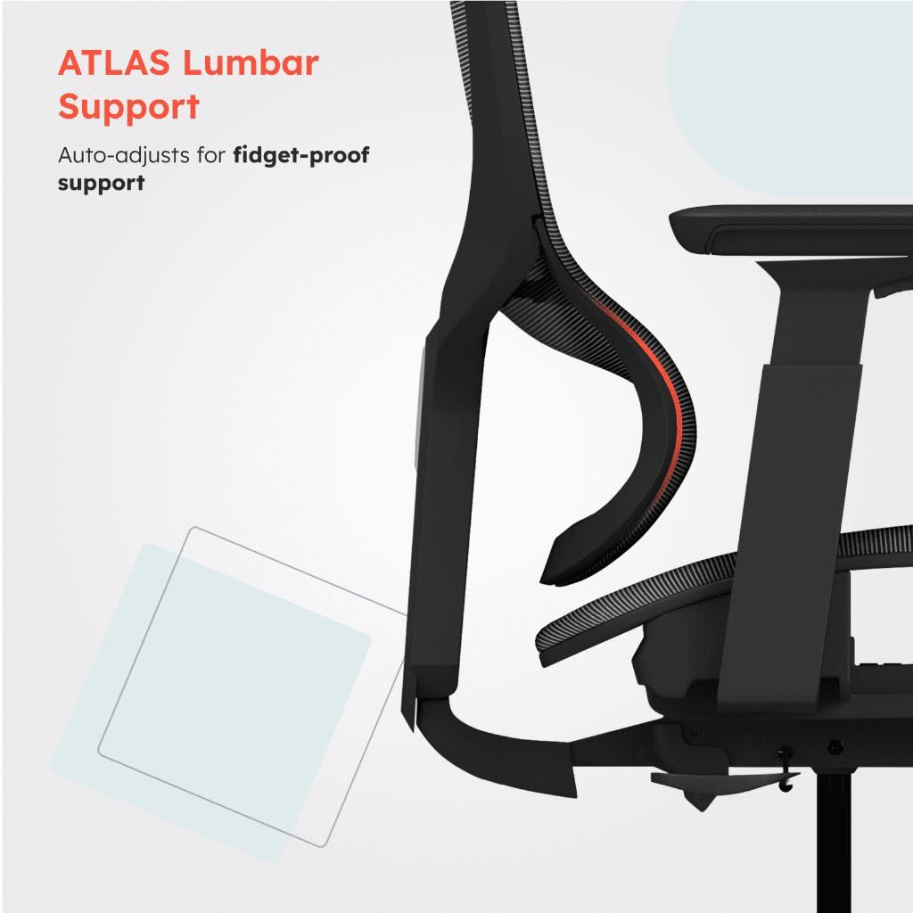 ErgoTune Classic - Ergonomic Office Chair, Furniture & Home Living ...