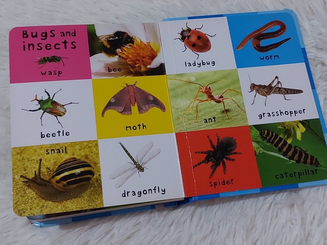 First 100 Animals, Hobbies & Toys, Books & Magazines, Children's Books ...