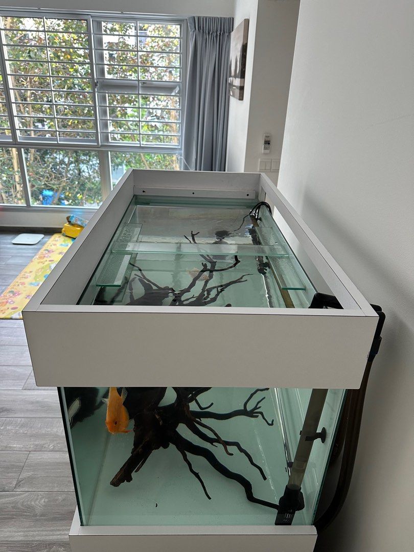 5ft X 2ft X 2ft Aquarium Cabinet R08 That Fish Shop, 55% OFF