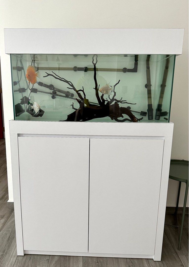 Customised 3 feet Fish tank with cabinet , Furniture & Home Living ...