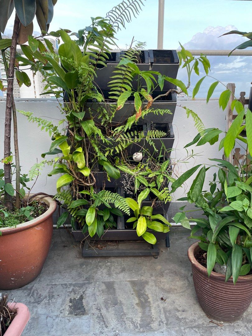 Free-standing green wall/stand, Furniture & Home Living, Gardening ...