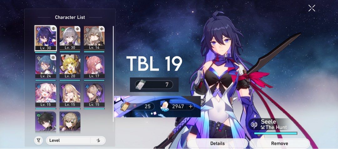 Honkai Star Rail HSR - Seele E1 / C1 + Bronya (Double Seele) Female MC ...