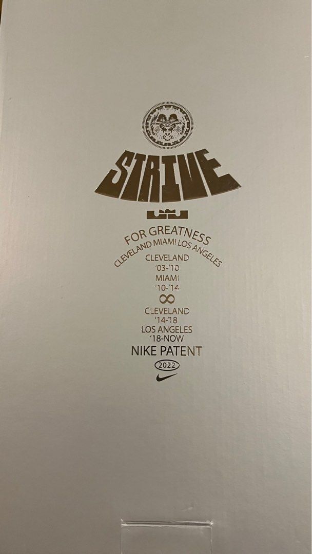 Lebron 20 Time Machine on Carousell