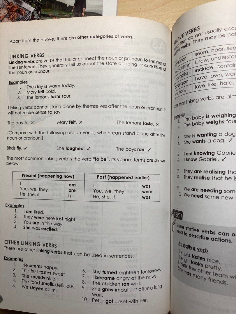Longman Mastering English Grammar & Vocabulary P5&6, Hobbies & Toys ...