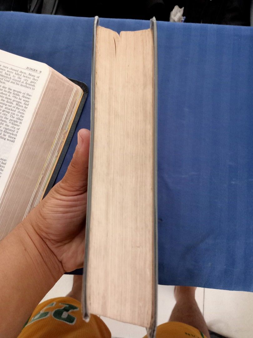 new-world-translation-hobbies-toys-books-magazines-religion