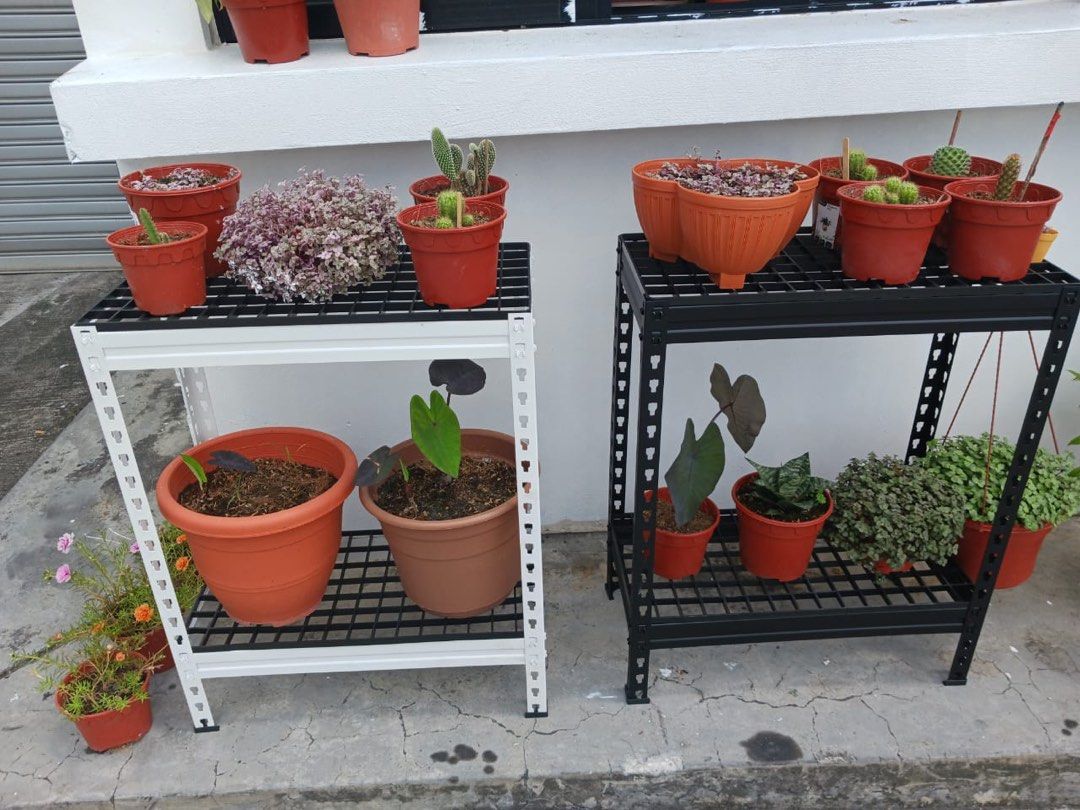 Garden Rack | Balcony Rack | Flower Rack | Storage Rack | Plastic ...