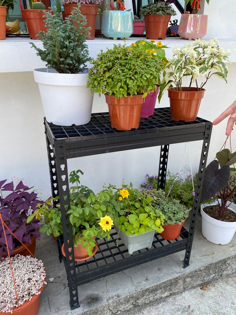 Garden Rack | Balcony Rack | Flower Rack | Storage Rack | Plastic ...