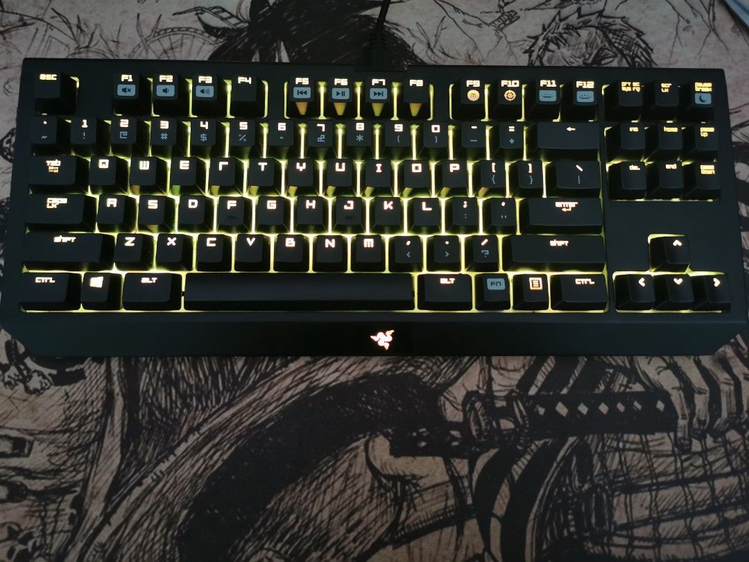 Razer Blackwidow Chroma Stealth TKL, Computers & Tech, Parts ...