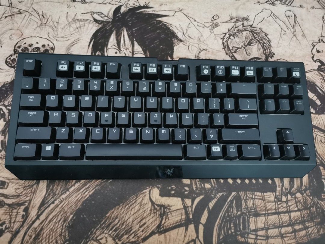 Razer Blackwidow Chroma Stealth TKL, Computers & Tech, Parts ...