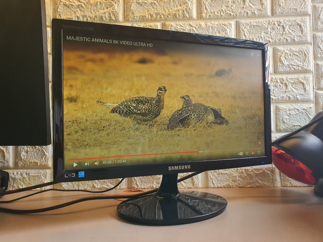 Samsung 19 Inch S19A300B Monitor, Computers & Tech, Parts & Accessories ...