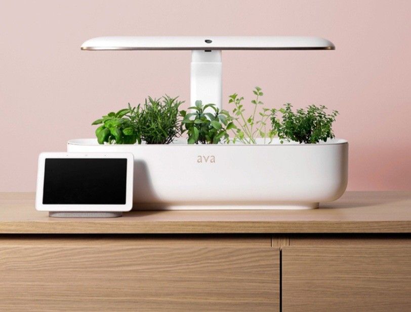 Smart Garden - Ava Byte, Furniture & Home Living, Gardening, Pots ...