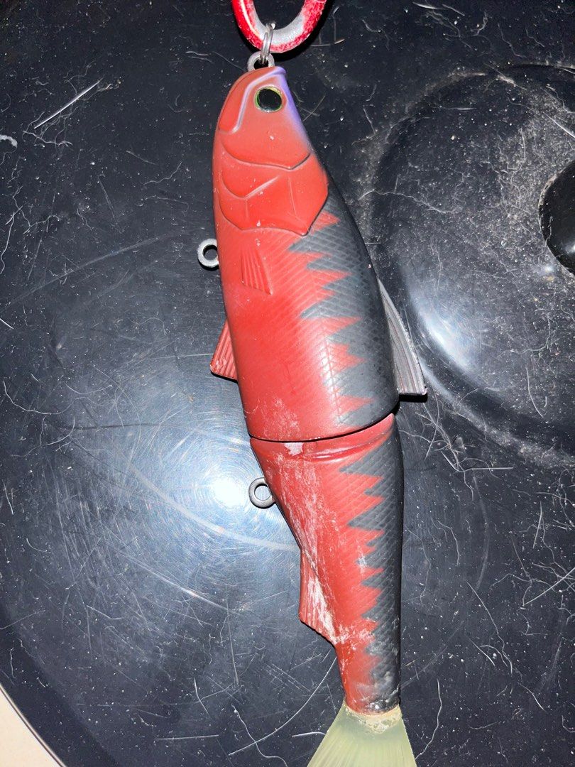 Storm Akame Swimbait, Sports Equipment, Fishing on Carousell