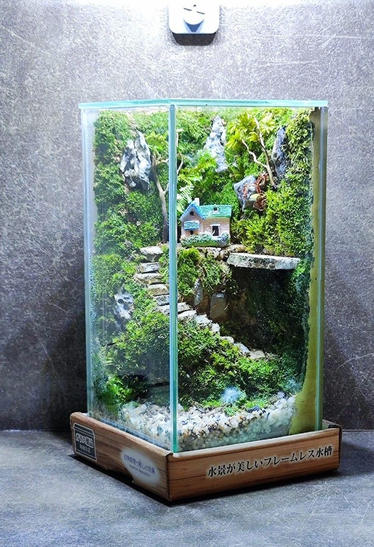 Terrarium, Furniture & Home Living, Gardening, Plants & Seeds on Carousell