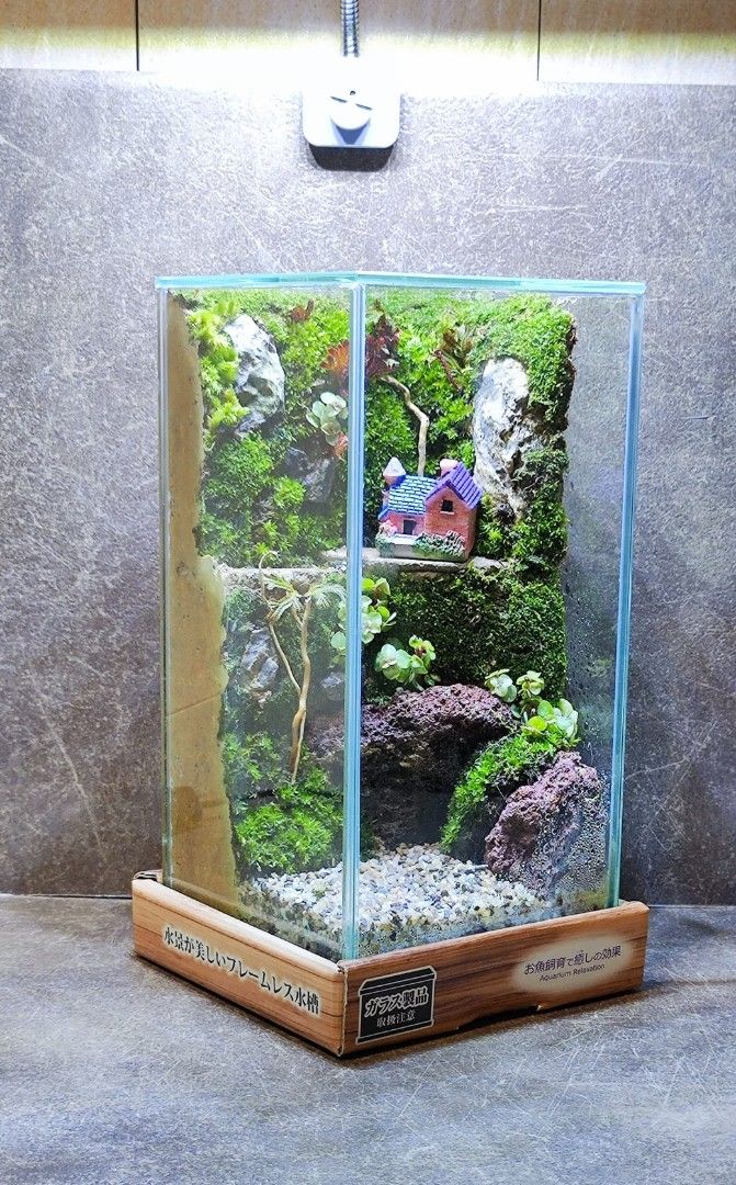 Terrarium, Furniture & Home Living, Gardening, Plants & Seeds on Carousell